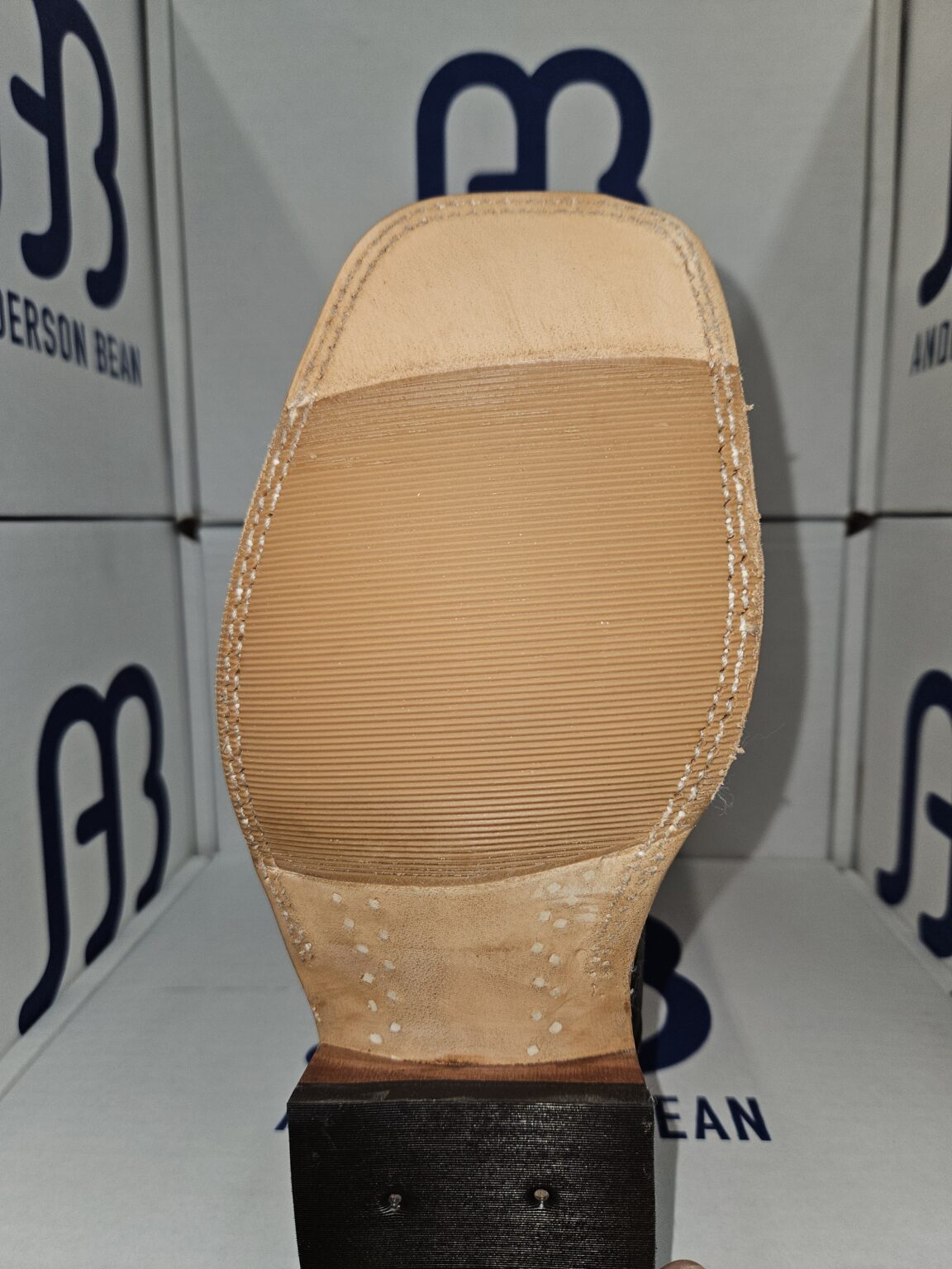 Anderson Bean Black Hungry Hippo 339253 - Little Joe's Boots